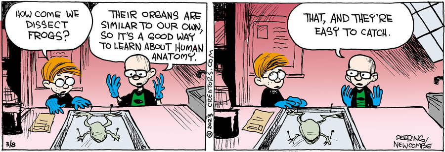 Zack Hill Comic Strip